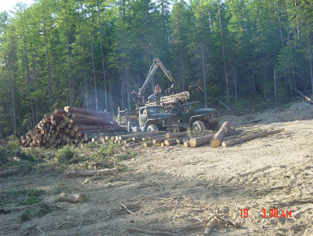 Russian bill on compulsory notice for use of logging equipment | Timber ...