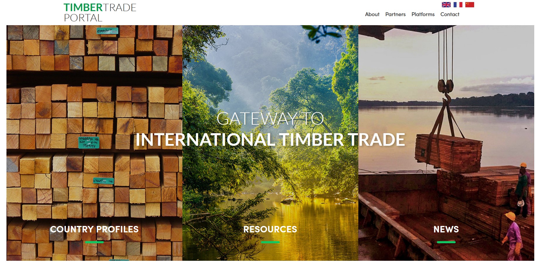 A new and updated Timber Trade Portal! | Timber Trade Portal